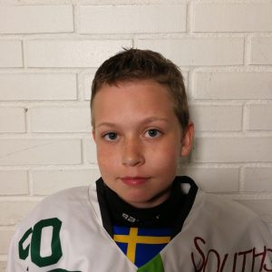 Players – Southside Spring Hockey Game Center