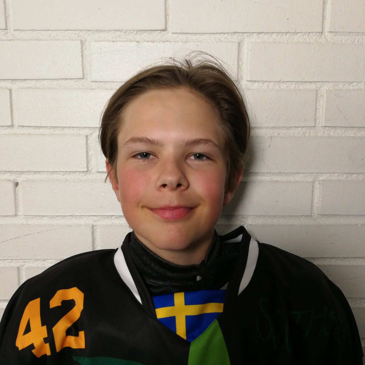 Players – Southside Spring Hockey Game Center